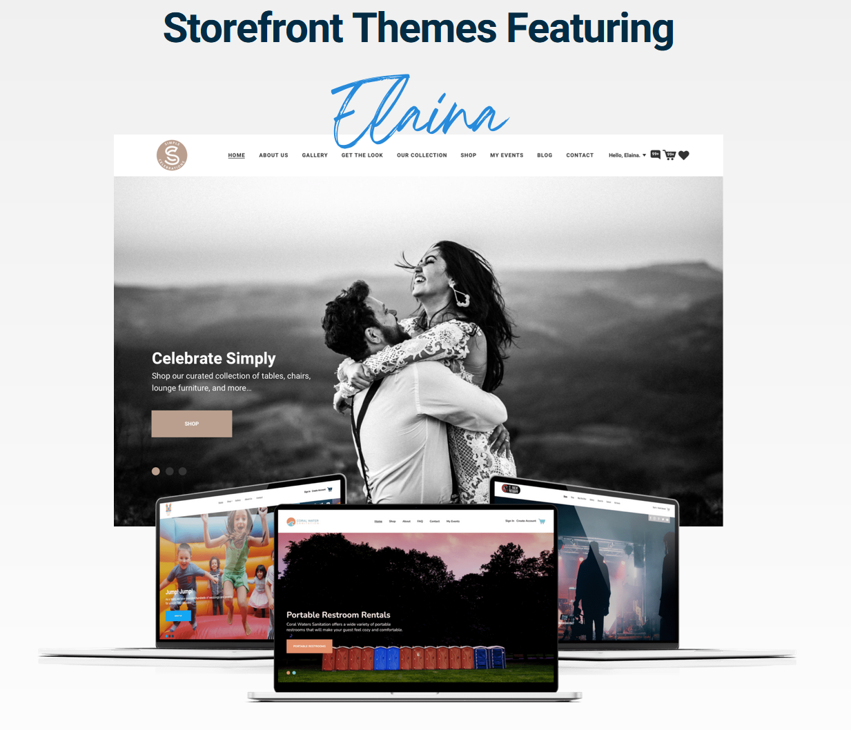 Choosing a Theme & Design for your Storefront – TapGoods